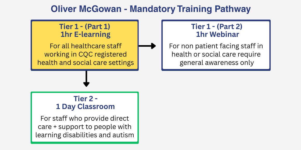 Oliver McGowan Tier 1 (Part 1) e-learning
